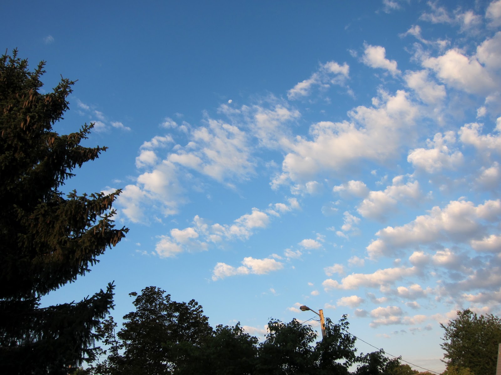 Seeds of Creativity: Cool Clouds