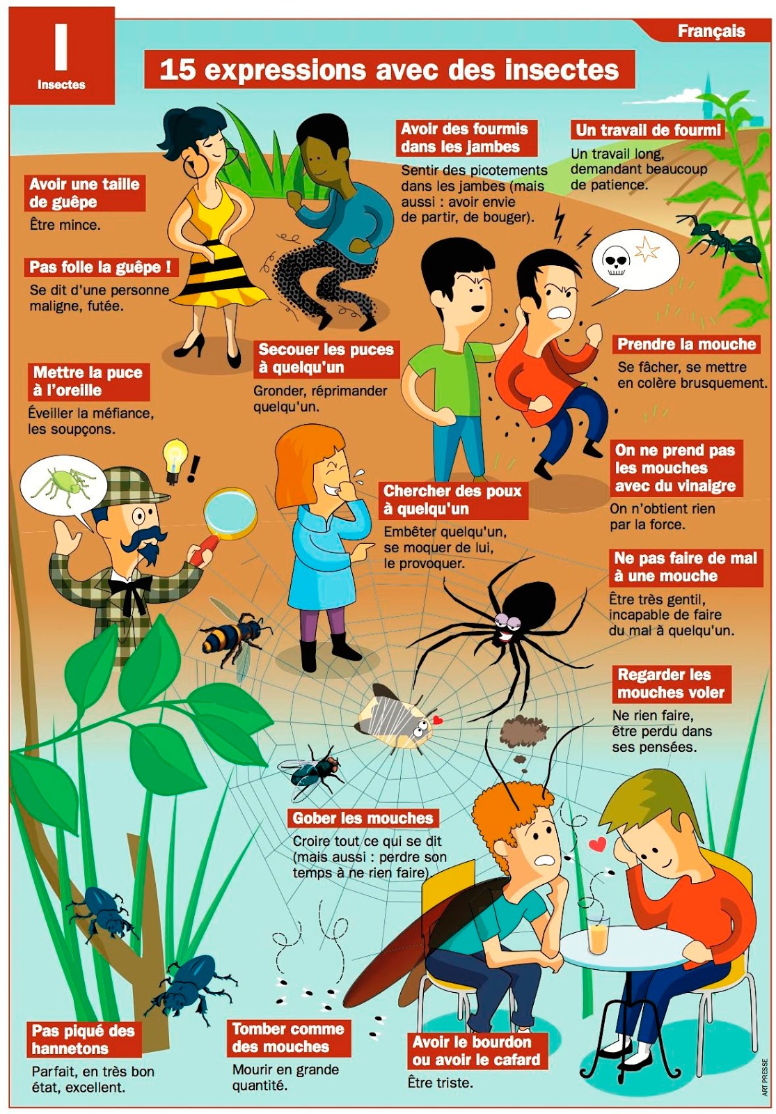 TICs en FLE: Expressions idiomatiques : jeux et exercices