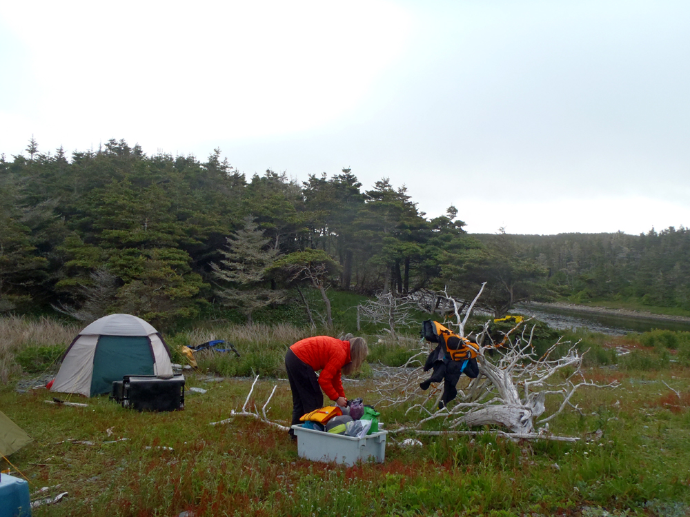 My Newfoundland Kayak Experience: Great Colinet Island (2016) Part 3