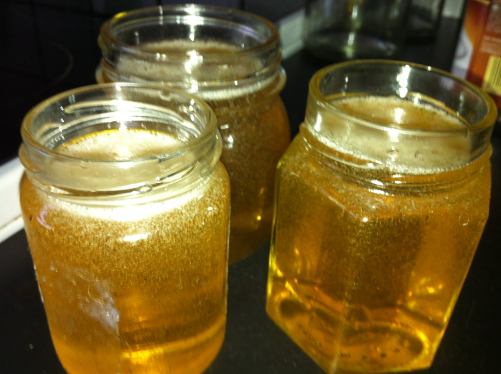 peters paniske madunivers: Mirabel blomme sirup
