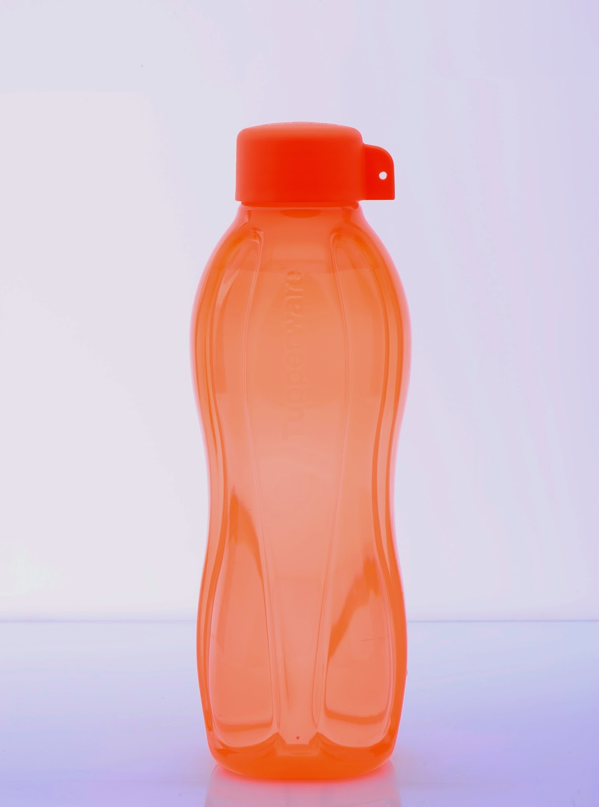 Make Everyday World Water Day with Tupperware Eco Bottle | Rockstarmomma