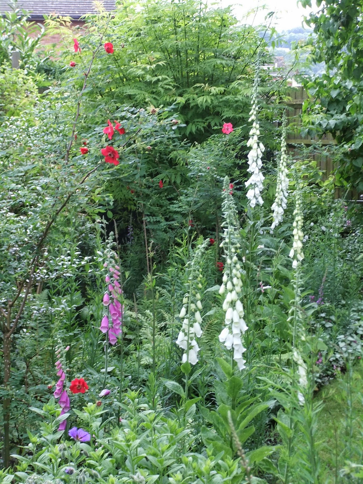 Pippa Purnell Garden Design: Planting: Refresh Your Borders
