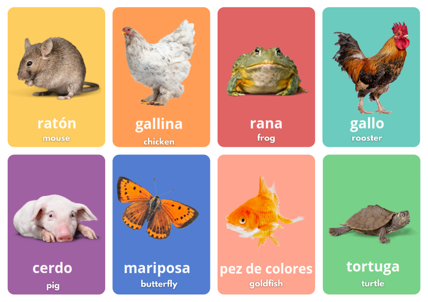 Animals Flashcards in Spanish | Spanish to Go