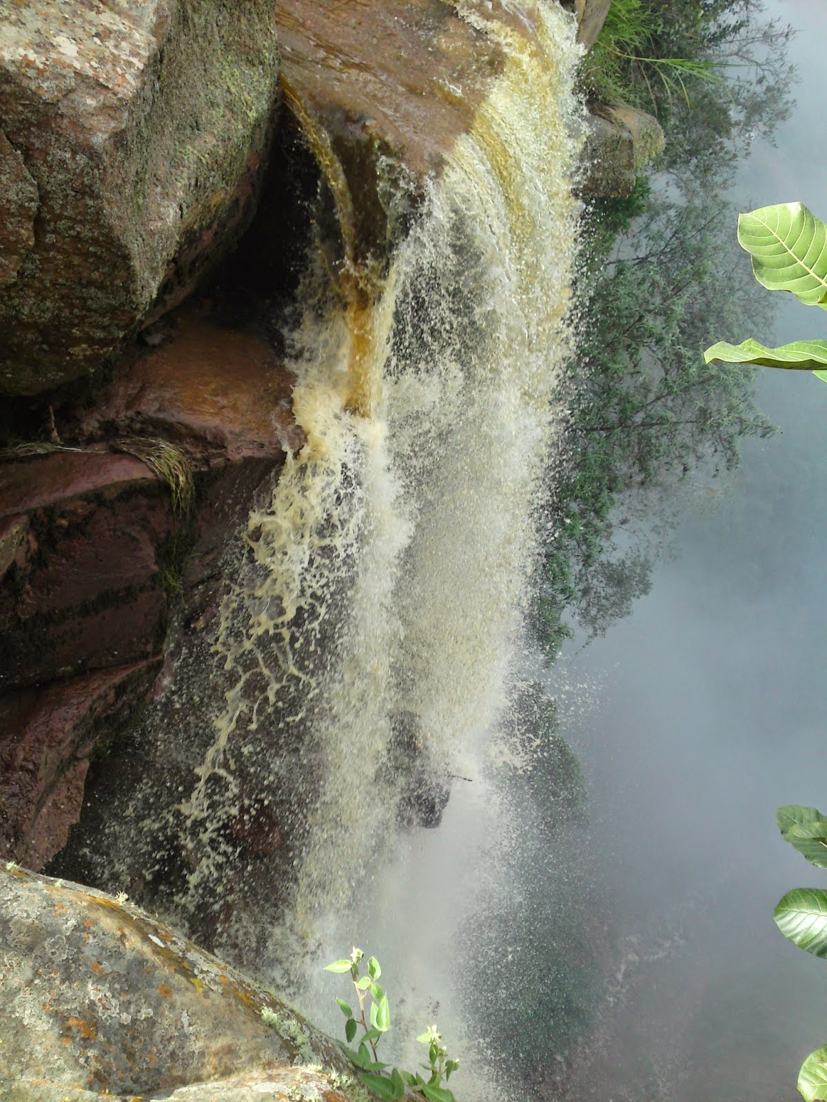 SI QUEREMOS VIDA CUIDEMOS EL MEDIO AMBIENTE: BETULIA SANTANDER TIERRA ...