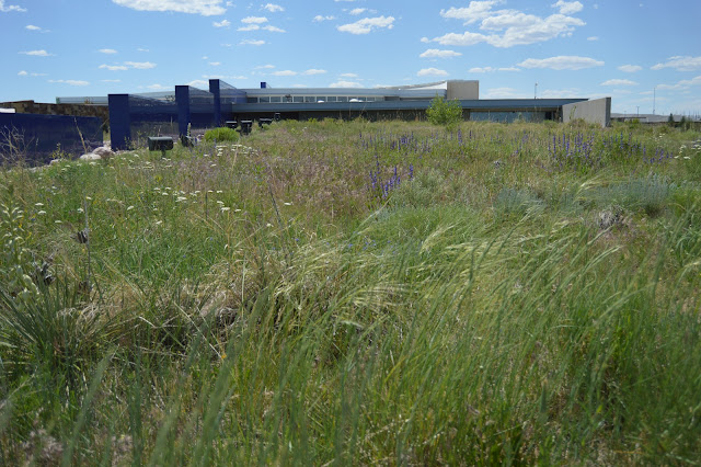 Love.Haight: 175 Years of the Oregon Trail: A Visit to Captivating ...