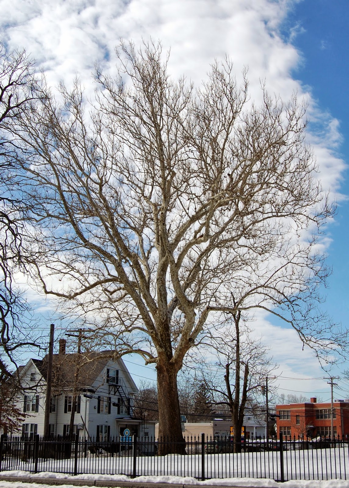 Franklin Matters: The walk (photo essay) (part 2)