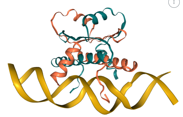 What to look out for with an AlphaFold2 model