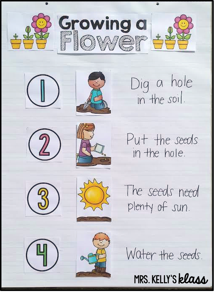 Mrs. Kelly's Klass: Plants and Weather!
