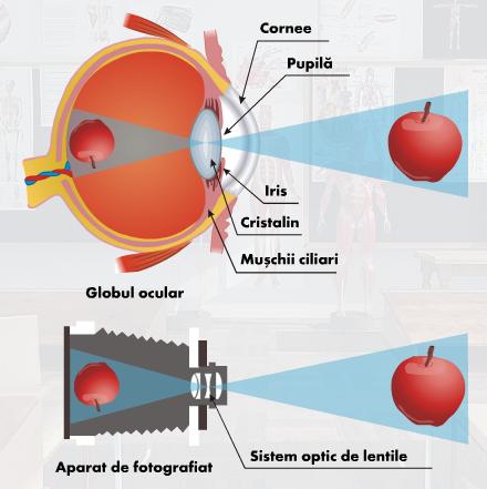 ORADEAstronomie: Instrumente optice: aparatul de fotografiat