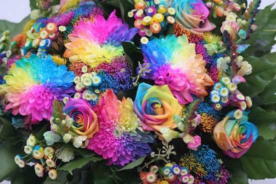 Rainbow Flowers | sawpedia