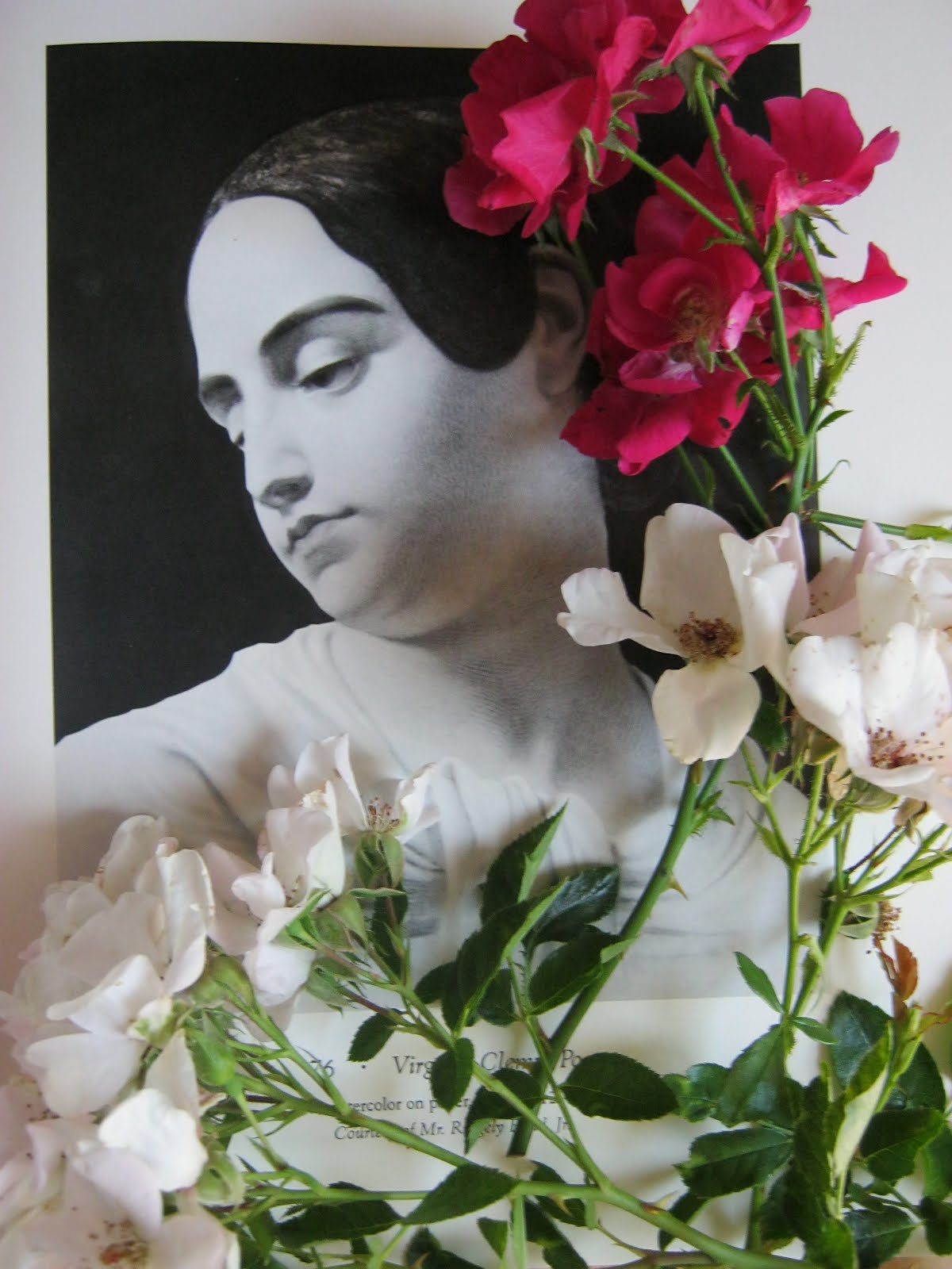 The World of Edgar Allan Poe: Virginia Eliza Clemm Poe, Born August 15 ...