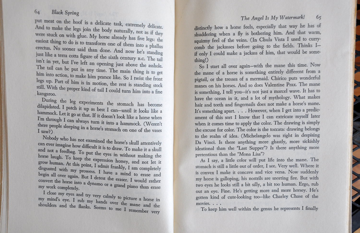 Structure and Imagery: Black Spring: The Angel Is My Watermark! by ...