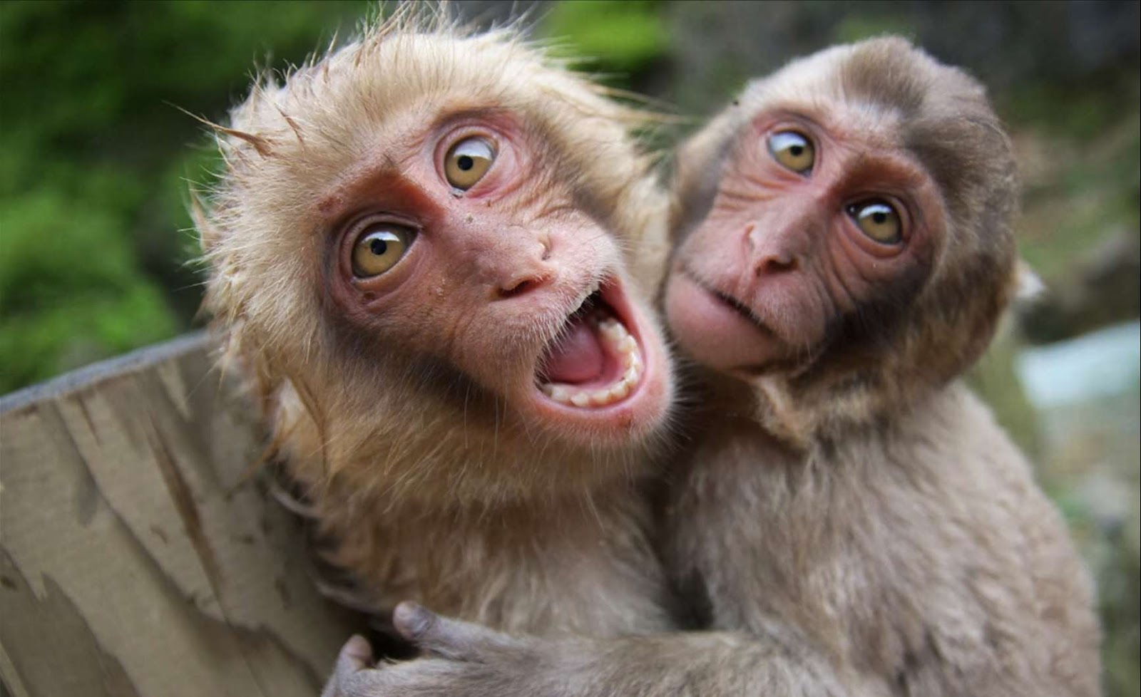 Бидний мэдэхгүй сонирхолтой зүйлүүд. - Zaluus