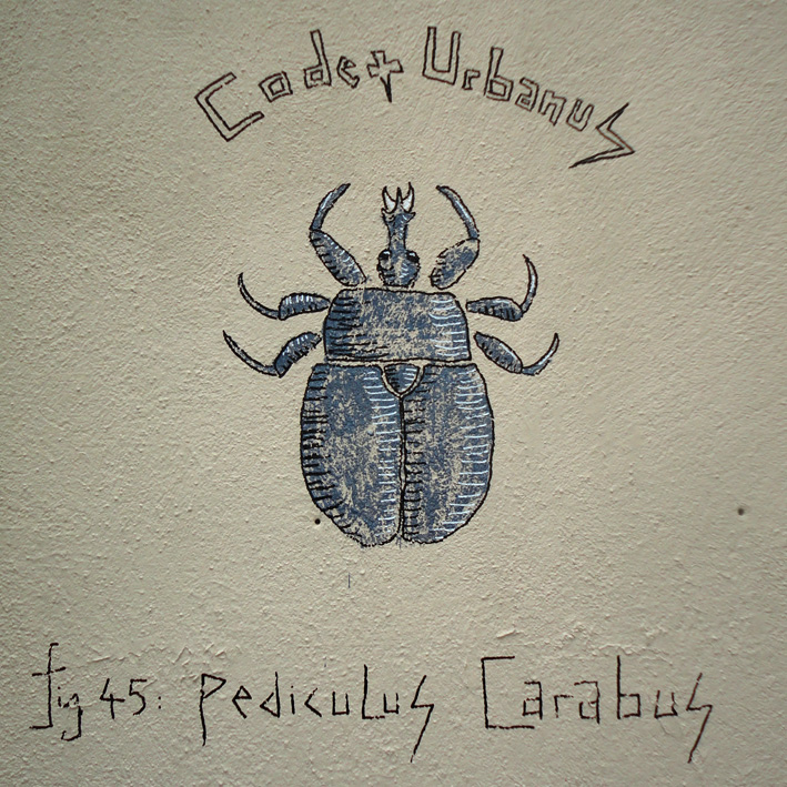 ville nôtre: Codex Urbanus