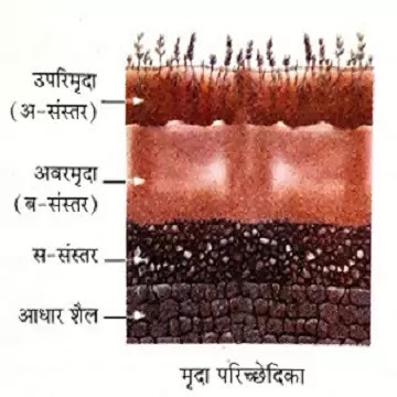 मृदा परिच्छेदिका (Soil Profile):- Definition, Full details of soil ...
