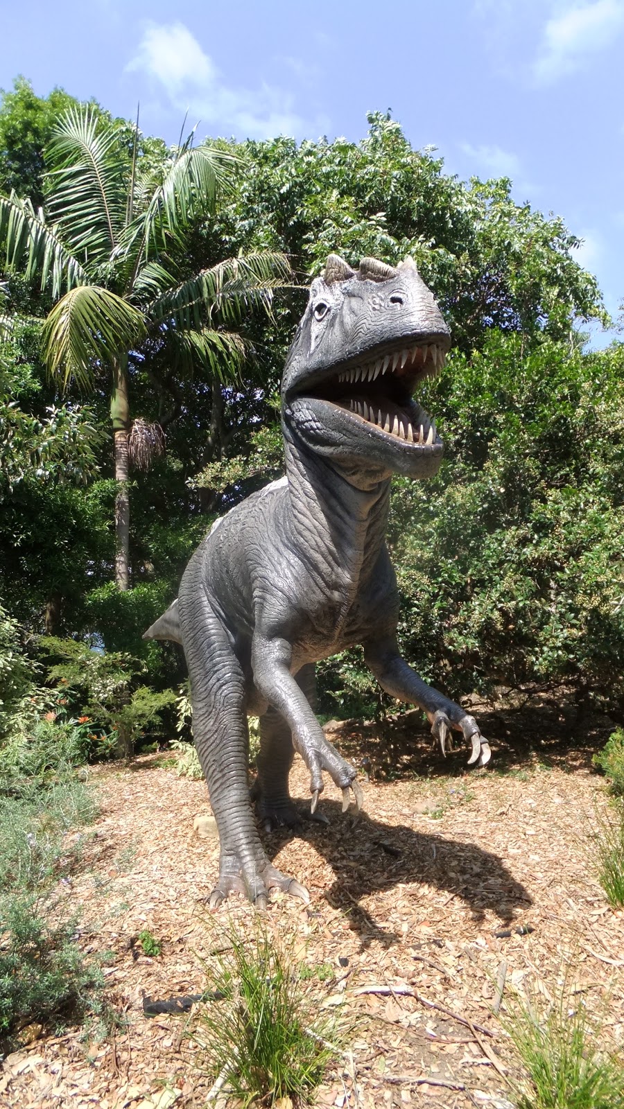 Justina-Overseas: Taronga Zoologijos Sodas Sidnėjus