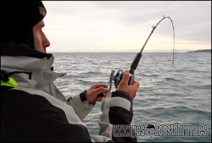 Maxel transformer reel review - waylader