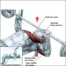 Força Total: Supino Reto