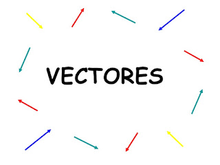 Vectores