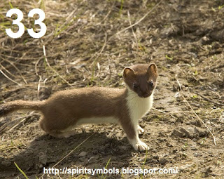 Spirit Symbols: Weasel