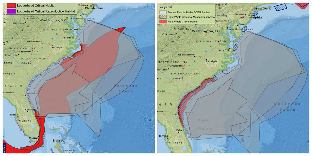 Clean Ocean Action: Ocean Watch 13