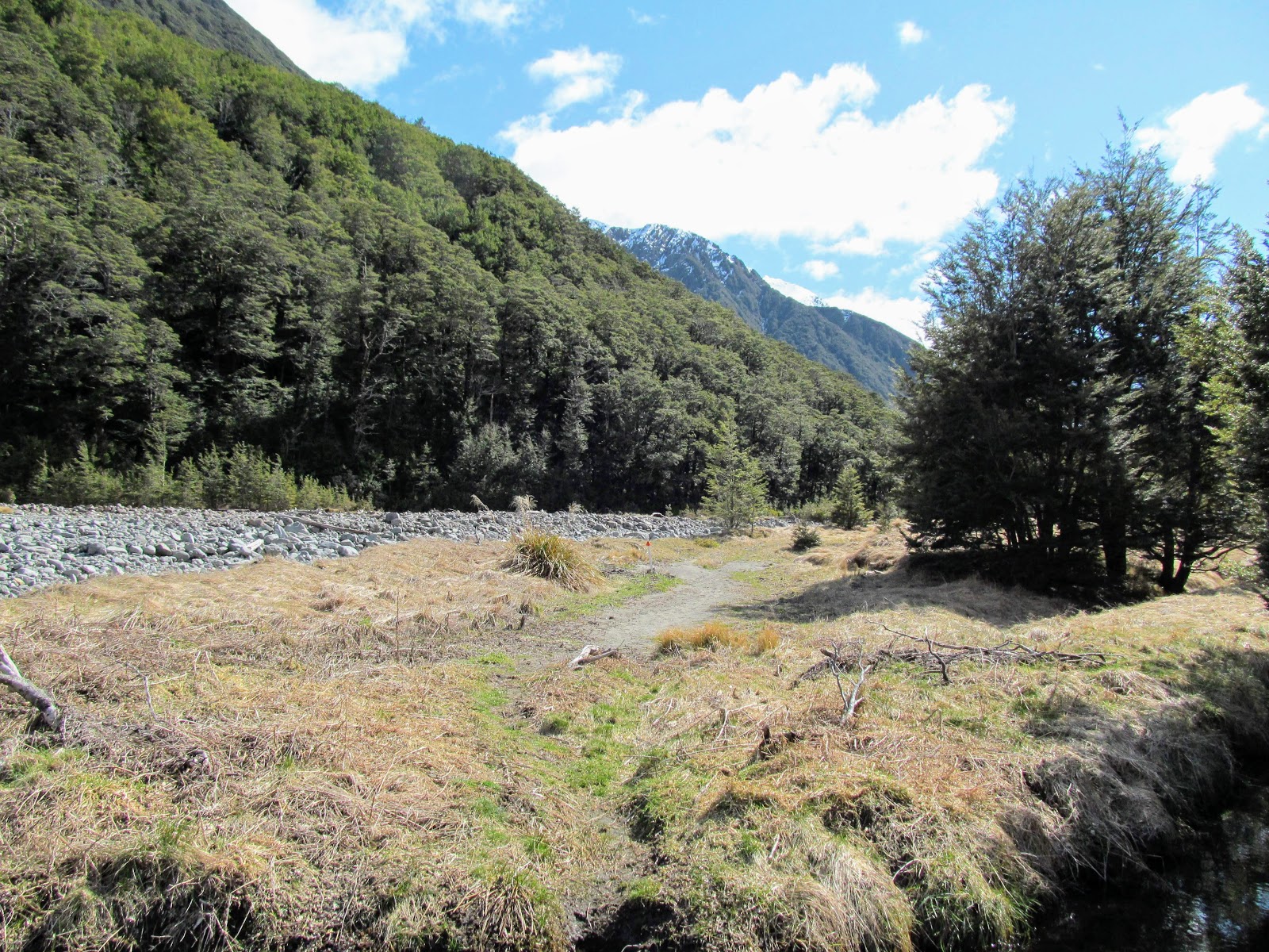 Arthurs Pass Adventures: Tramping in Arthurs Pass National Park: Hawdon ...