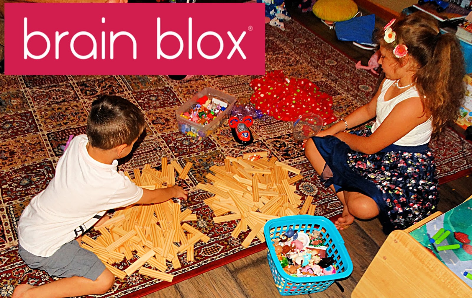 Embracing a Healthy Family: Brain Blox Wooden Building Planks by Brain ...