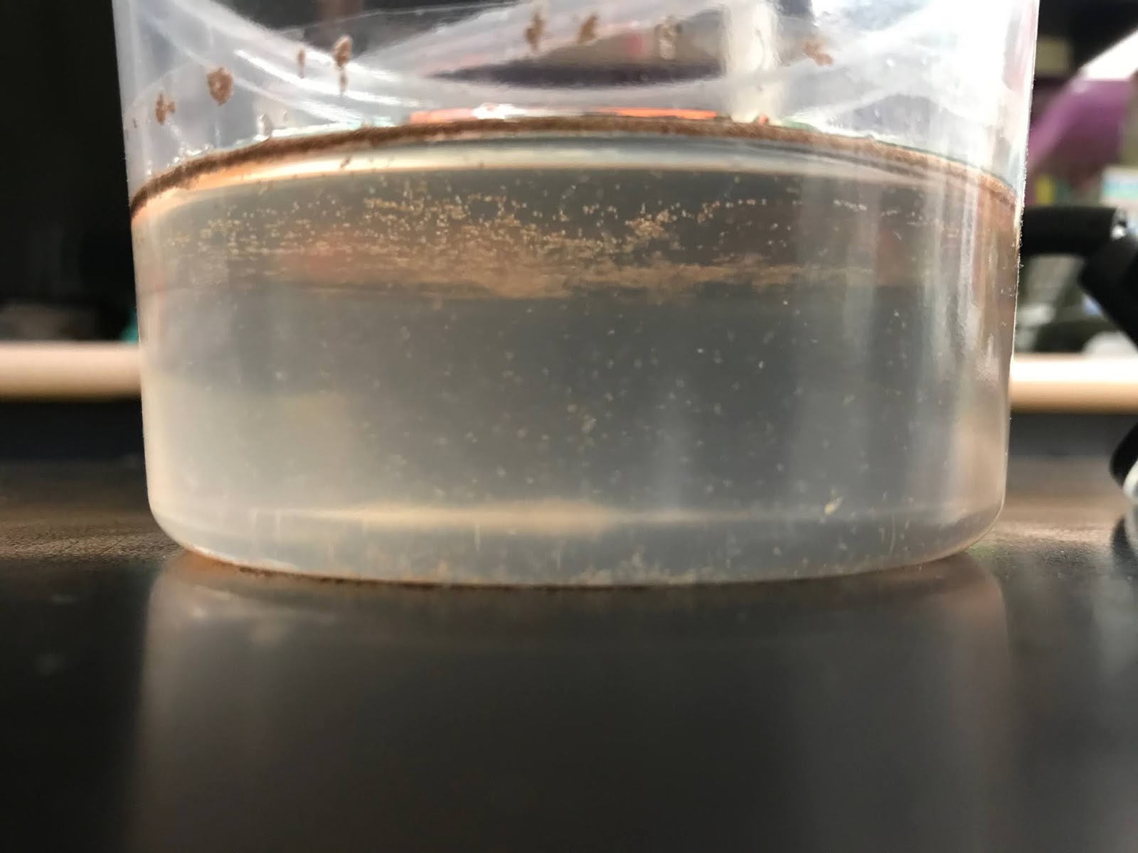 Mrs. Nydle's Science Spot: 6th Week 4: April 15th - April 21st