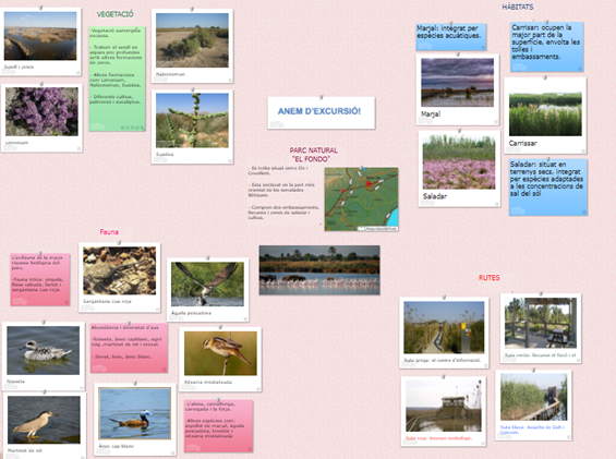 Aprende la Magia de las TIC: Murales Digitales.