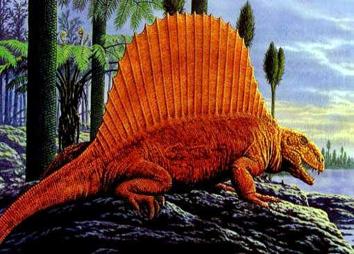 Dinosaurios animales prehistoricos: Dimetrodon ( Dientes de doble medida )