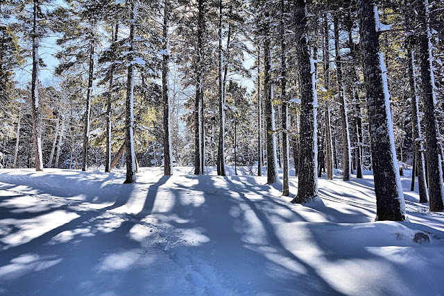 Creative Journey: Winter Scenes