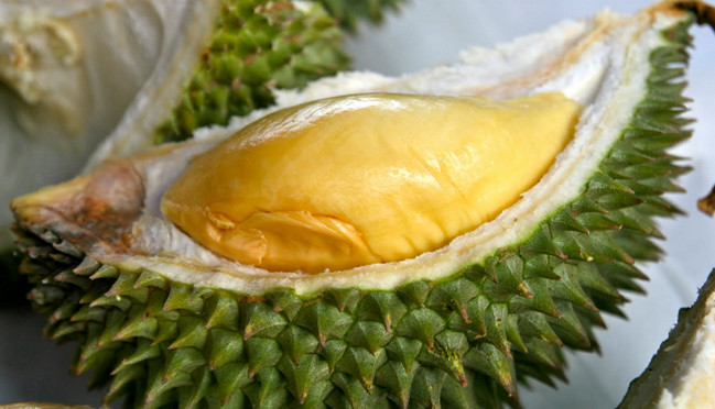 Pengetahuan Umum: 9 JENIS DURIAN POPULER DI INDONESIA