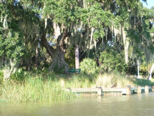 Meandering Joy: Two way fish camp