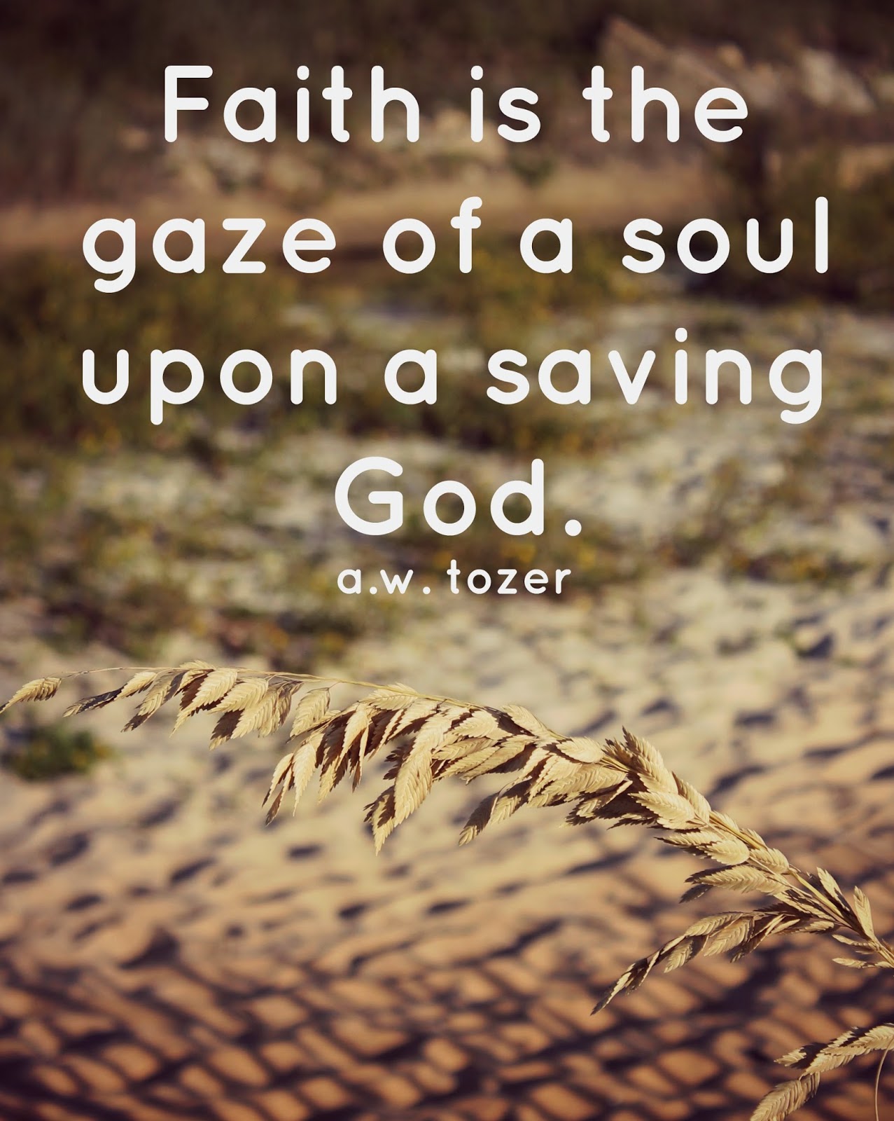 Day 6 :: The gaze of the soul - LAUREN WASHER