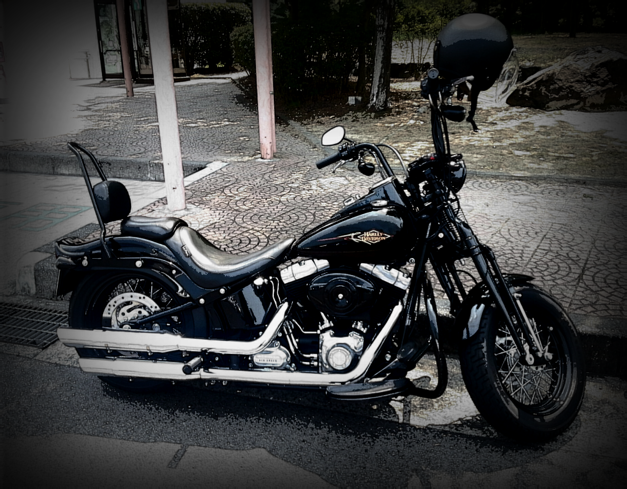 MOTORCYCLES RIDER: FLSTSB CROSSBONES