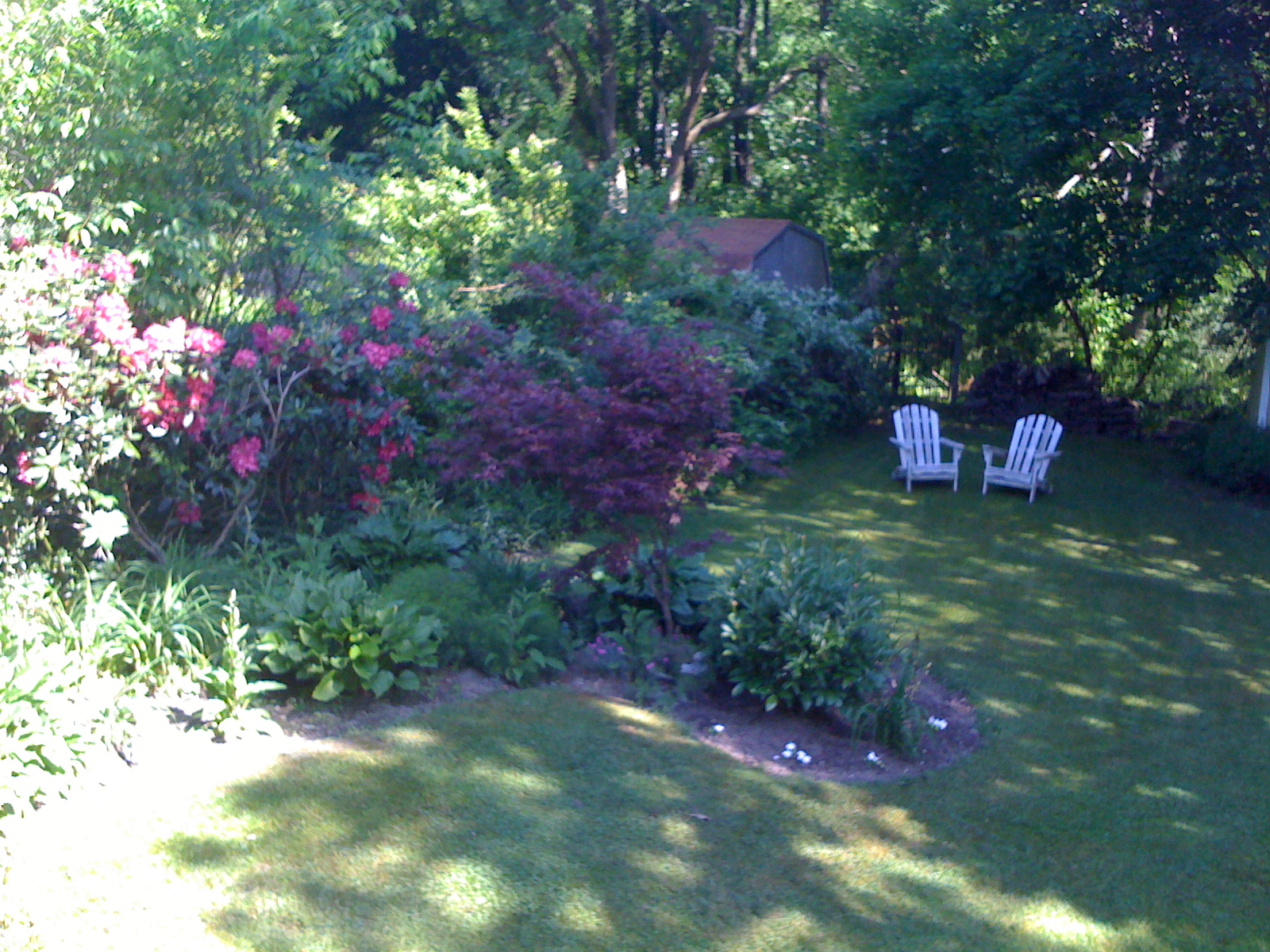 Creative Choices Interior(s): My Back Yard Garden