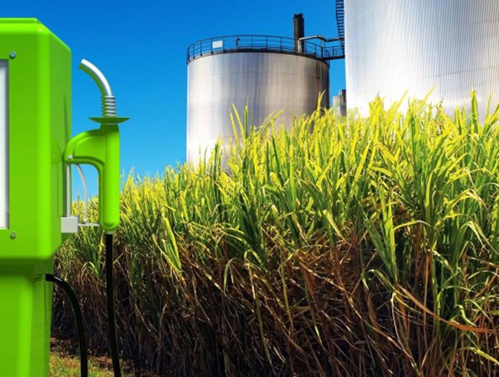 El Bioetanol: definición, de donde se obtiene, proceso para obtenerlo y ...