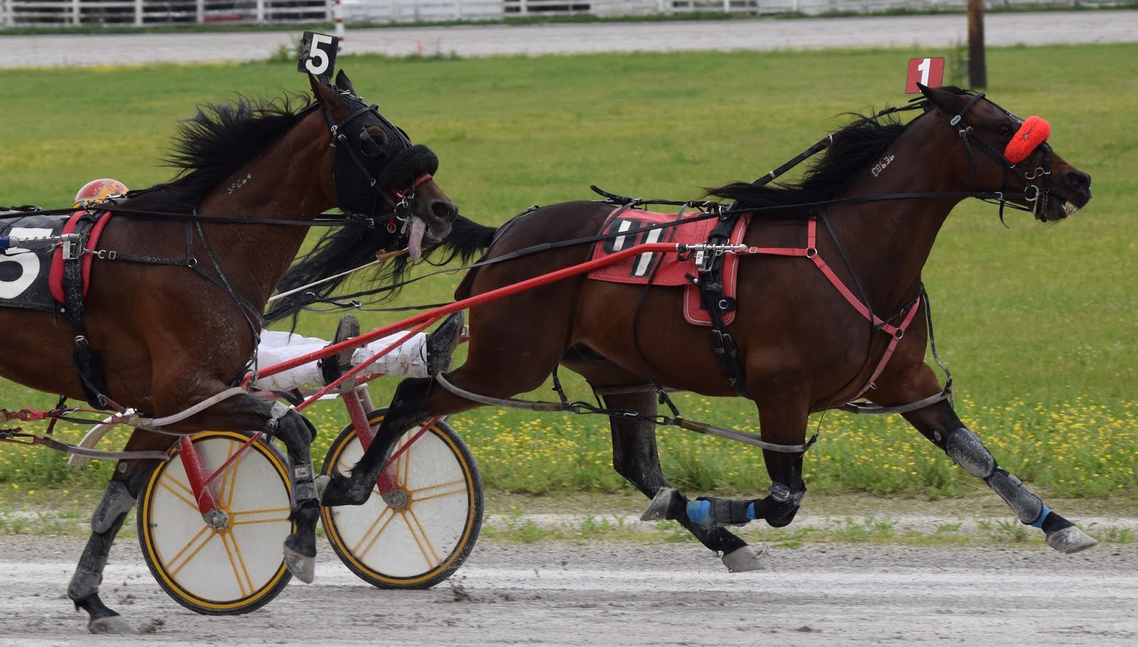Thunder Ridge Racing 05-18-16