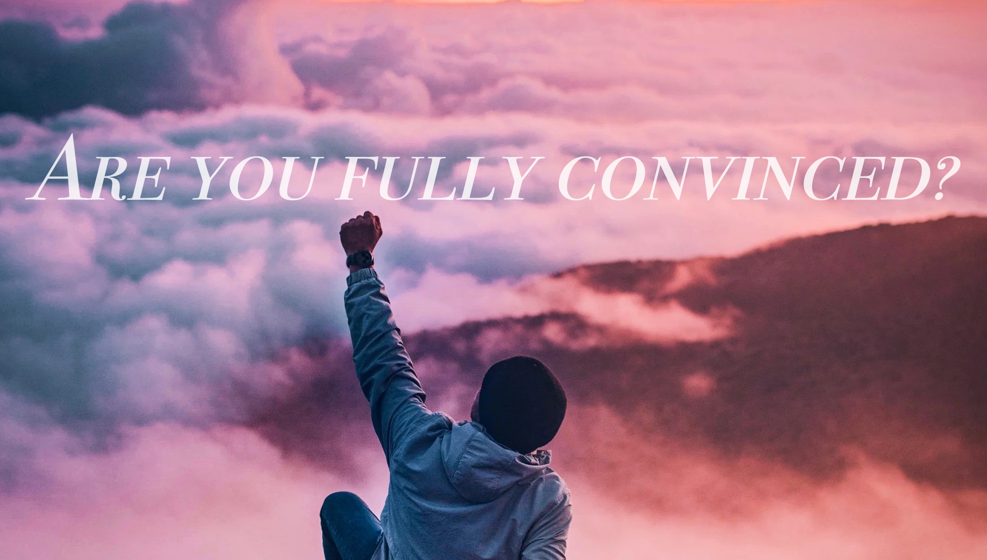 Lynn Lacher : Fully Convinced