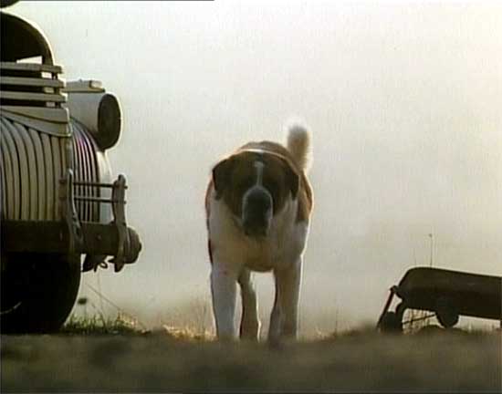 Fascination With Fear: November 2011