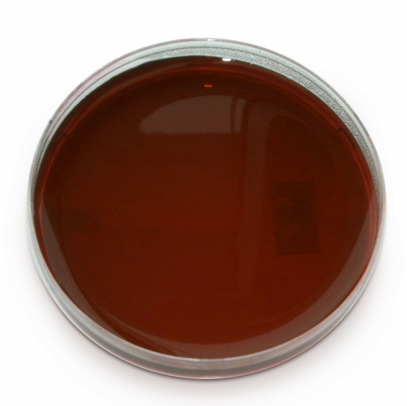 BITÁCORA "VISIÓN LABORATORISTA": EMB (AGAR EOSINA Y AZUL DE METILENO)