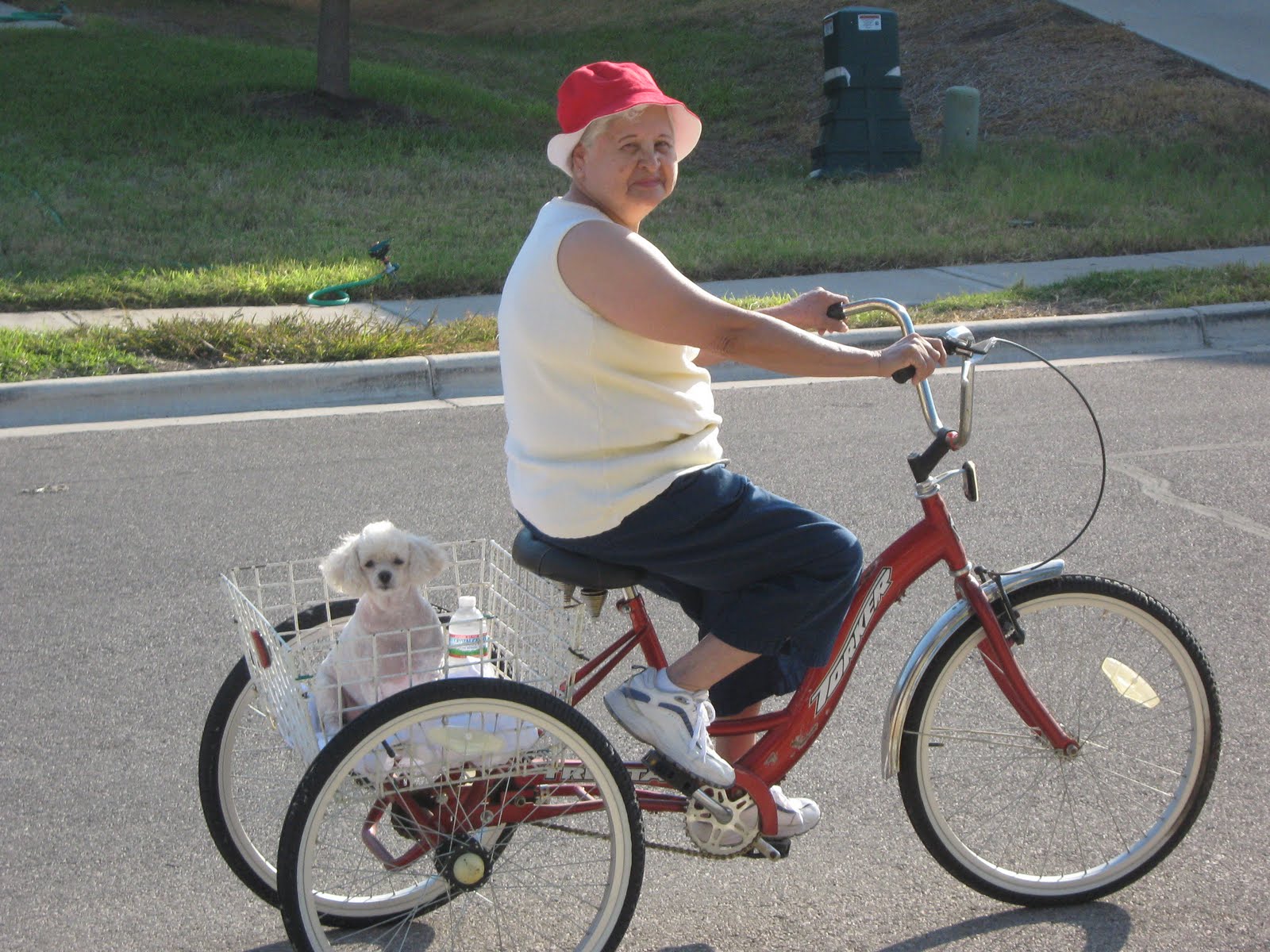 The Life and Times of a Retired Stay at Home Grandma: Bicycling with ...