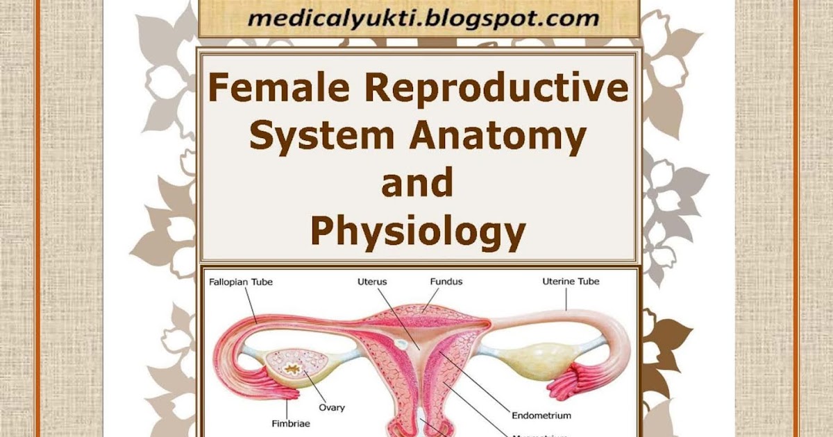 Female Reproductive System Anatomy Physiology - Medical Yukti