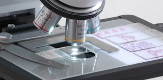 Pengertian Dari Preparat, Fungsi, Jenis, dan Cara Pembuatannya ...