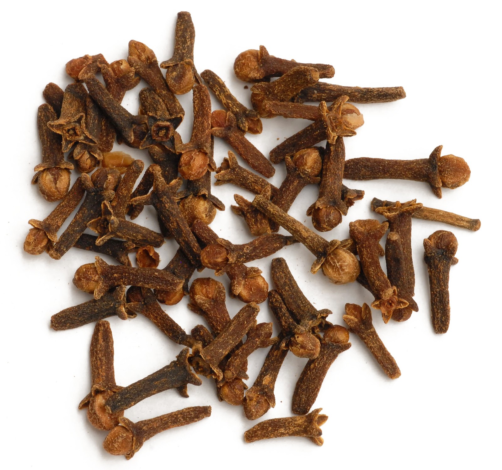 Biodiversity Heritage Library for Europe: Spice of the Week: Clove