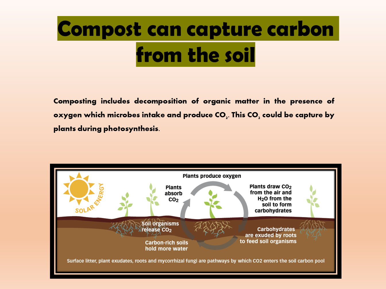 Some fascinating facts of composting