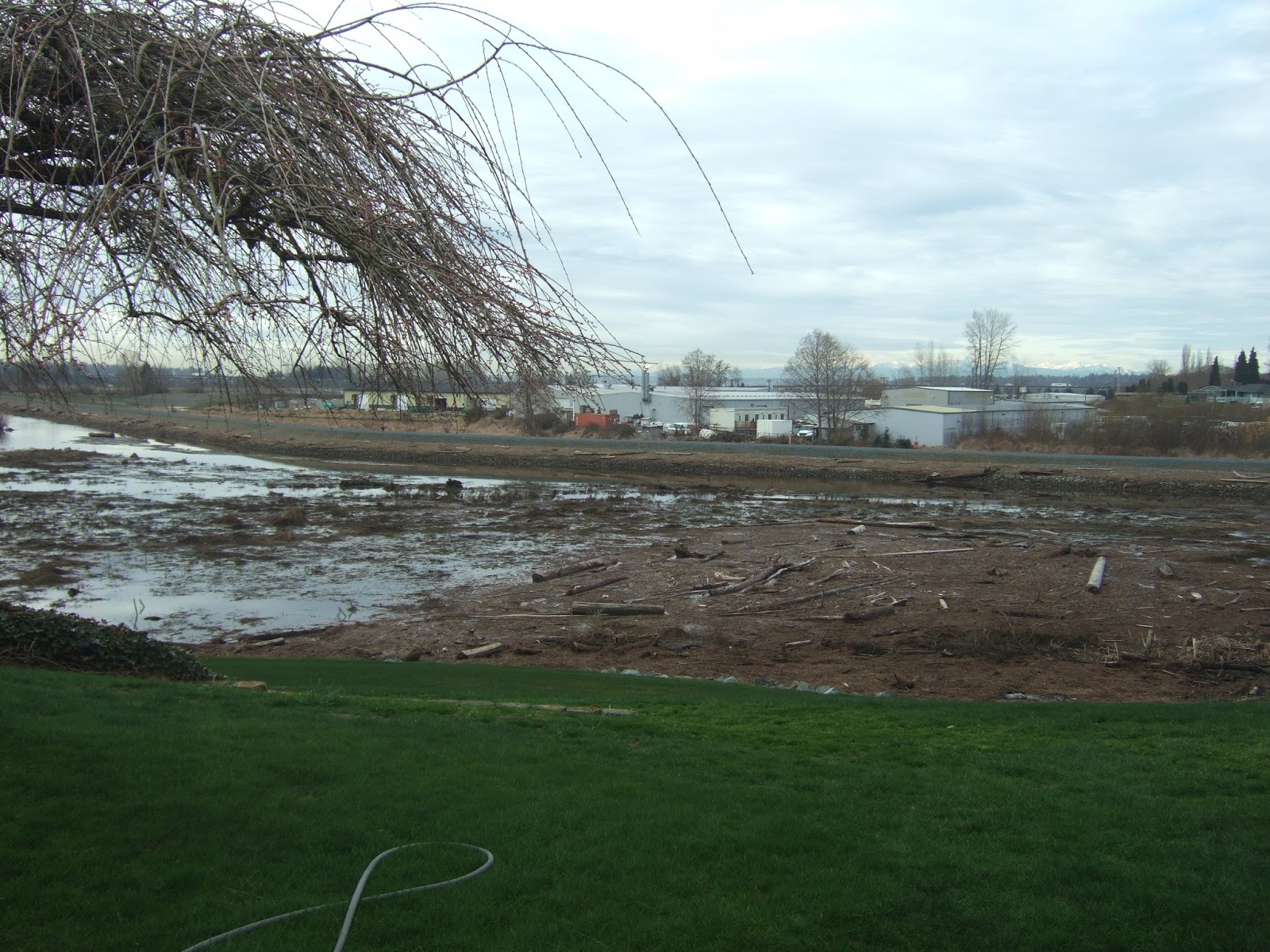 Reading the Washington Landscape: Qwuloolt Estuary Visit
