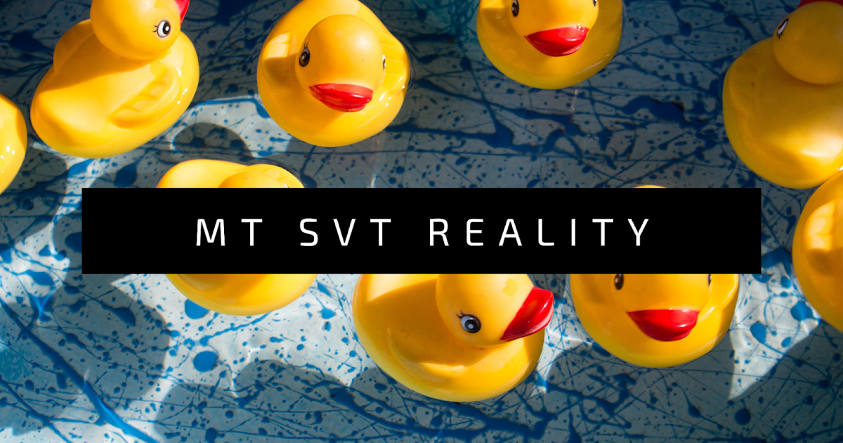 Happiness and Delight: MT SVT Reality a.k.a TTT