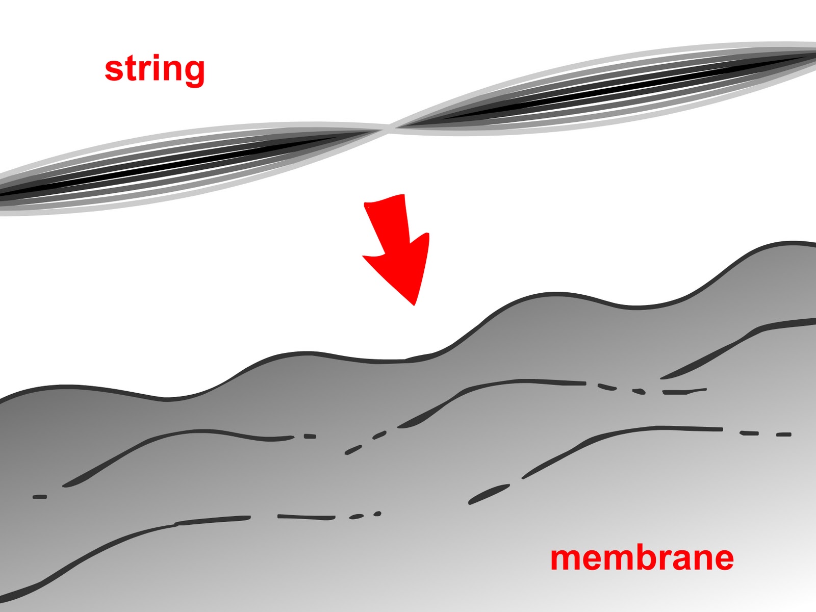 Sci-fi Realms: Einstein, General Relativity, Singularity, String Theory ...