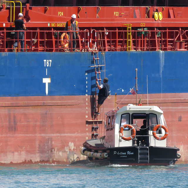 Livorno Daily Photo: Pilot Ladder